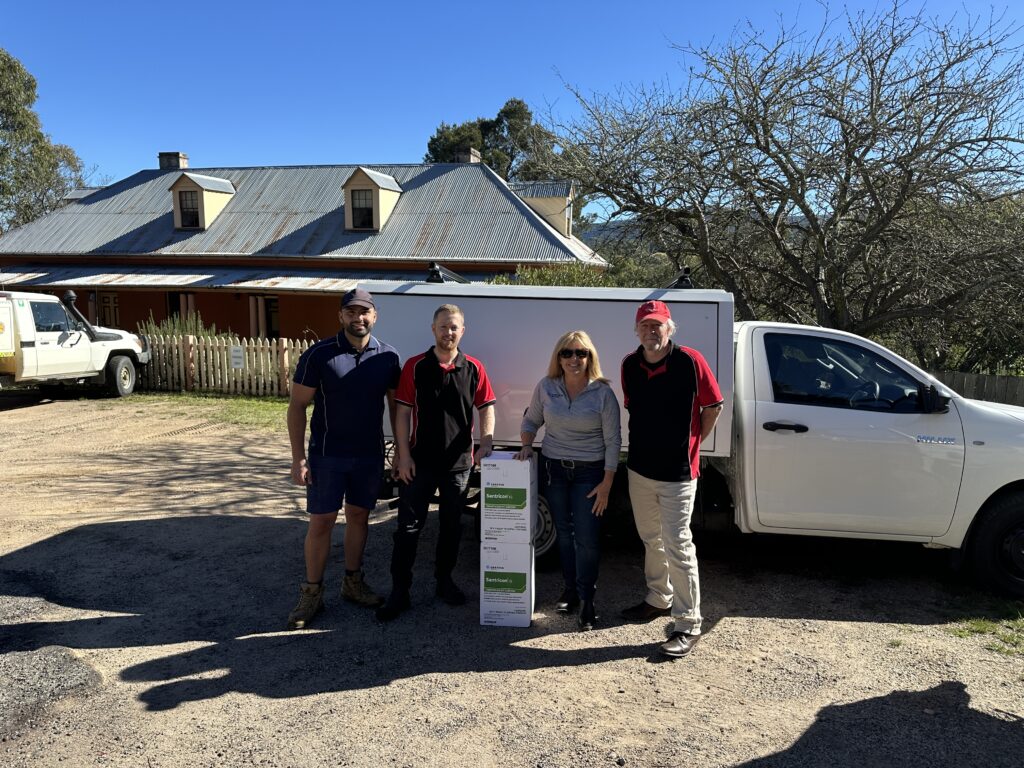 How Much Damage Can Termite Cause - Redback Pest Control | Sydney ...