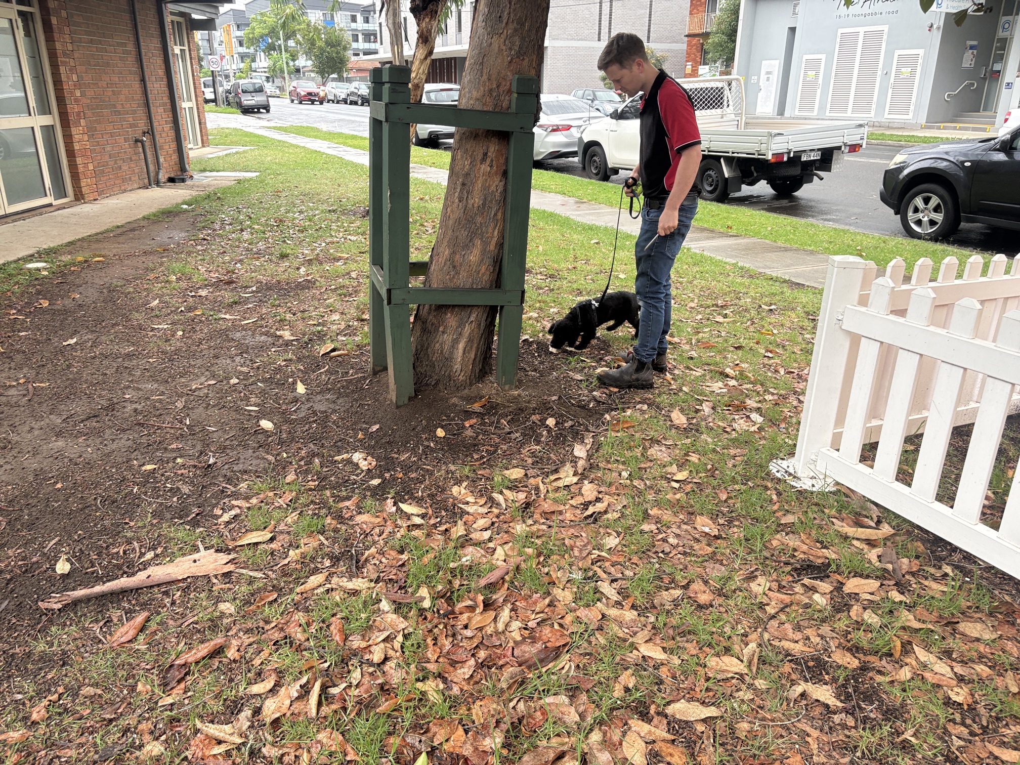 How Much Damage Can Termite Cause - Redback Pest Control | Sydney ...